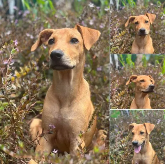 Saint Lucia-based HelpAWS introduces Karma - Writeups 24: Caribbean News and Insights