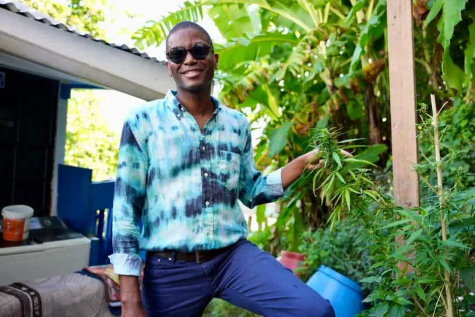 Grenada to expand economy via the cannabis Market - Writeups 24 ...