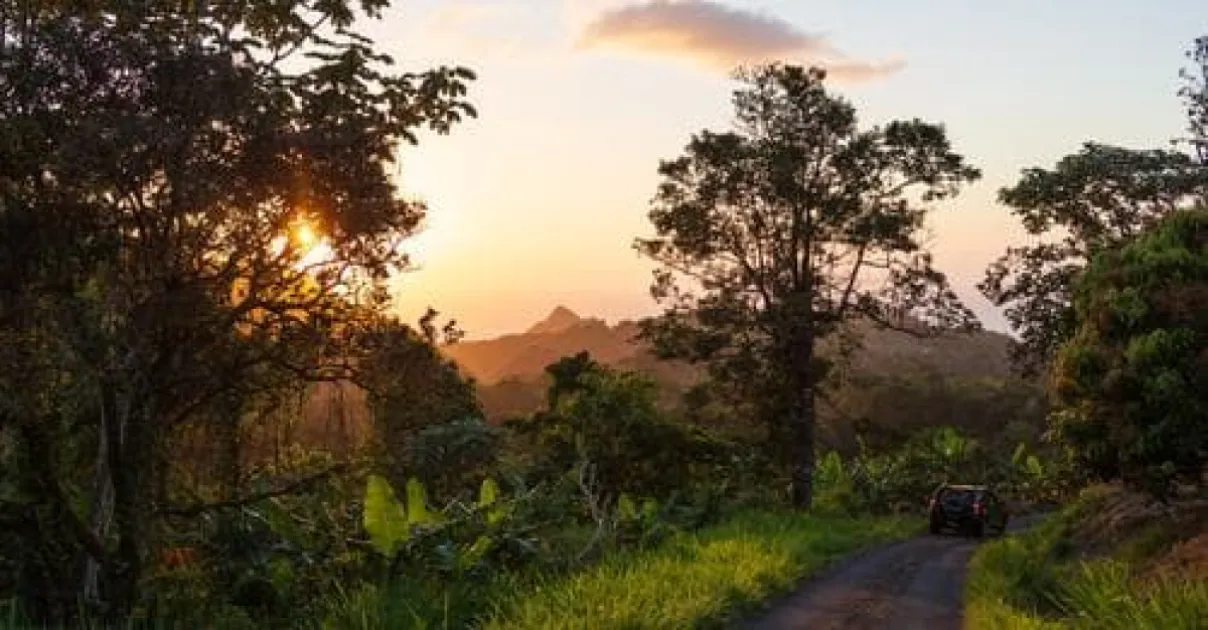Dominica, one of the best places to visit around the world - Writeups ...