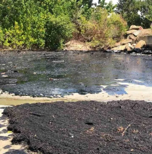 Oil Spill Crisis in Tobago: Cleaning ongoing, oil still trapped in Gulf ...