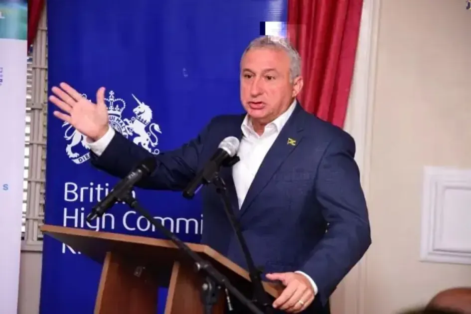 PSOJ President Metry Seaga wants Jamaican stakeholders to capitalize on ...