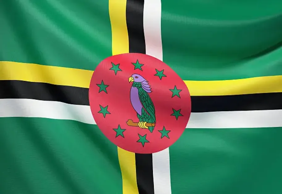 Dominica to celebrate three indigenous and native languages in History ...